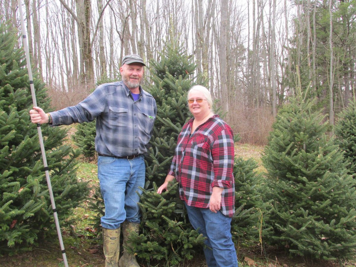 Gallery - Sanford Tree Farm LLC